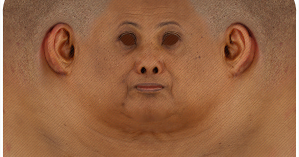 Female Face Texture Map